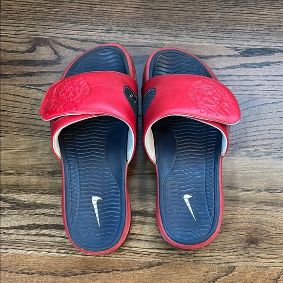 Nike | Shoes | Nike Lebron Air Olympic Colorway | Poshmark